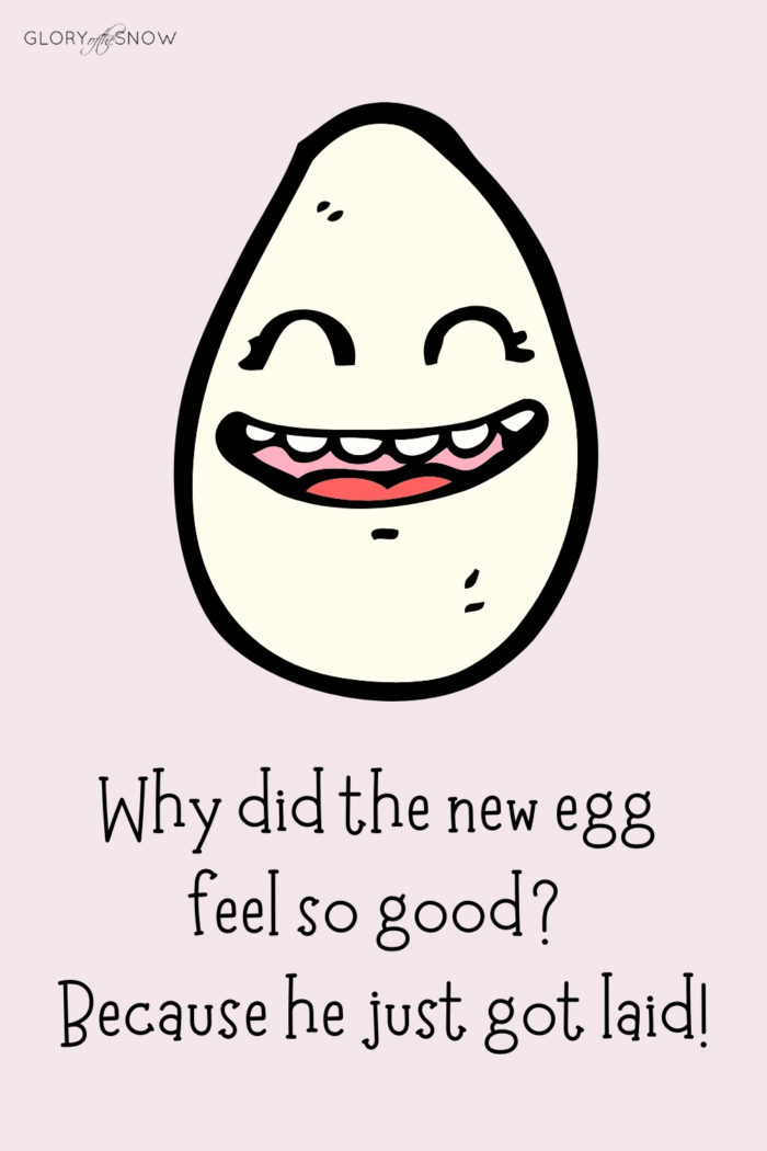 Egg Puns And Jokes That Will Crack You Up - Glory of the Snow
