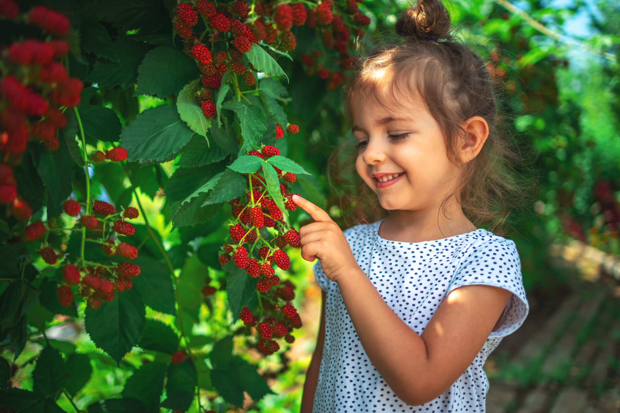Best Outdoor Family Bonding Activities To Try This Summer - Glory of ...