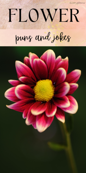 Sowing The Seeds Of Laughter: A Bouquet Of 150+ Flower Puns And Jokes ...