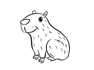 Capybara Drawing Ideas And Easy Step-By-Step Tutorials - Glory of the Snow