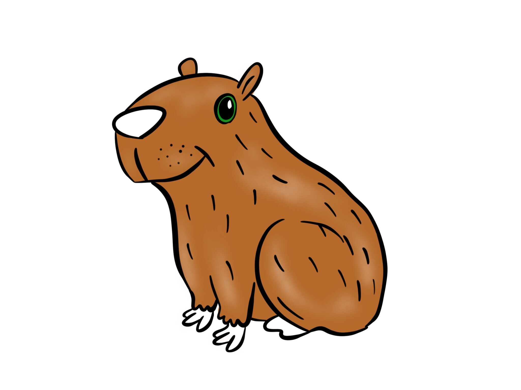 Capybara Drawing Ideas And Easy Step-By-Step Tutorials - Glory of the Snow