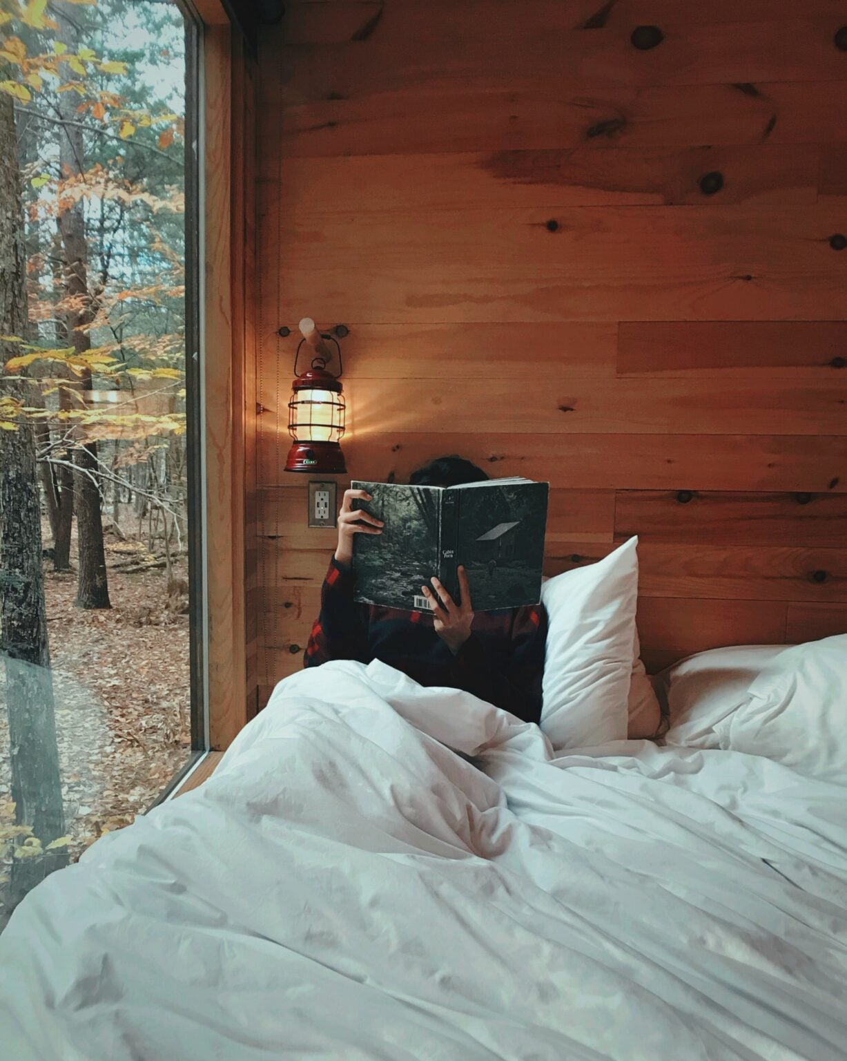 Cabin Activities: Top Picks For Your Next Getaway - Glory of the Snow