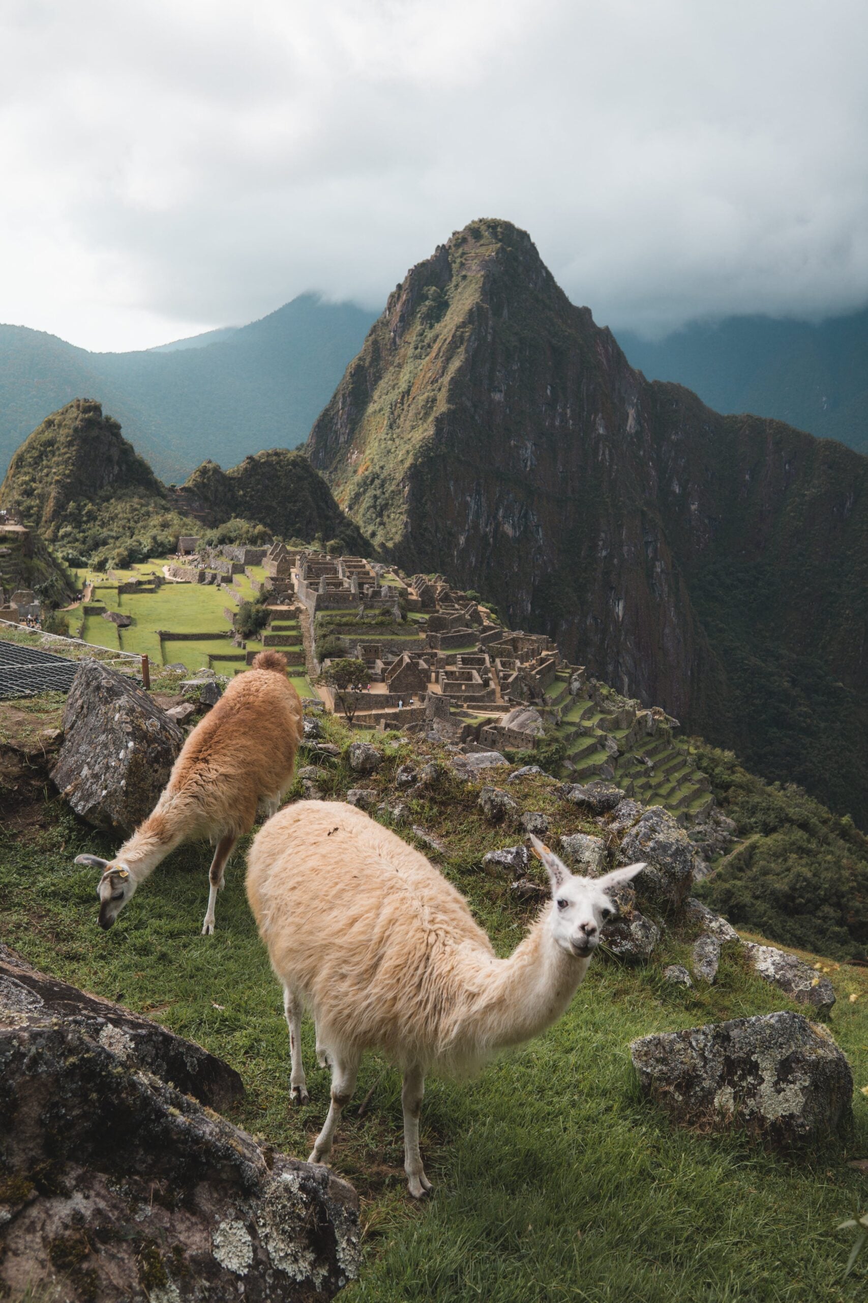 7 Practical Tips For Visiting Machu Picchu You Should Know - Glory of ...