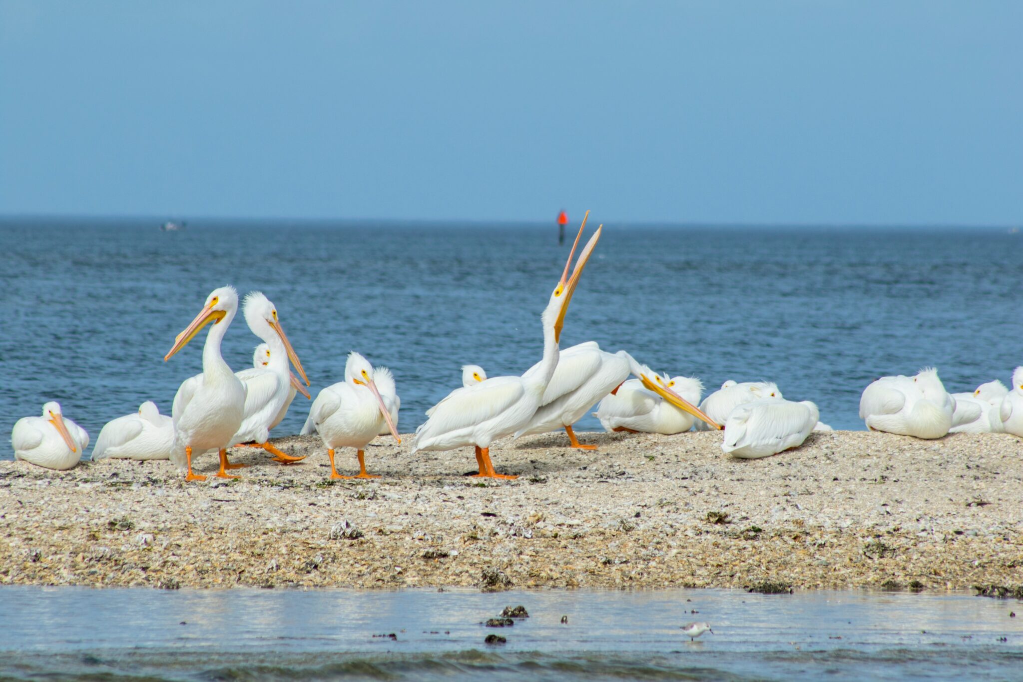 The Best Destinations To Visit In Florida - Glory of the Snow