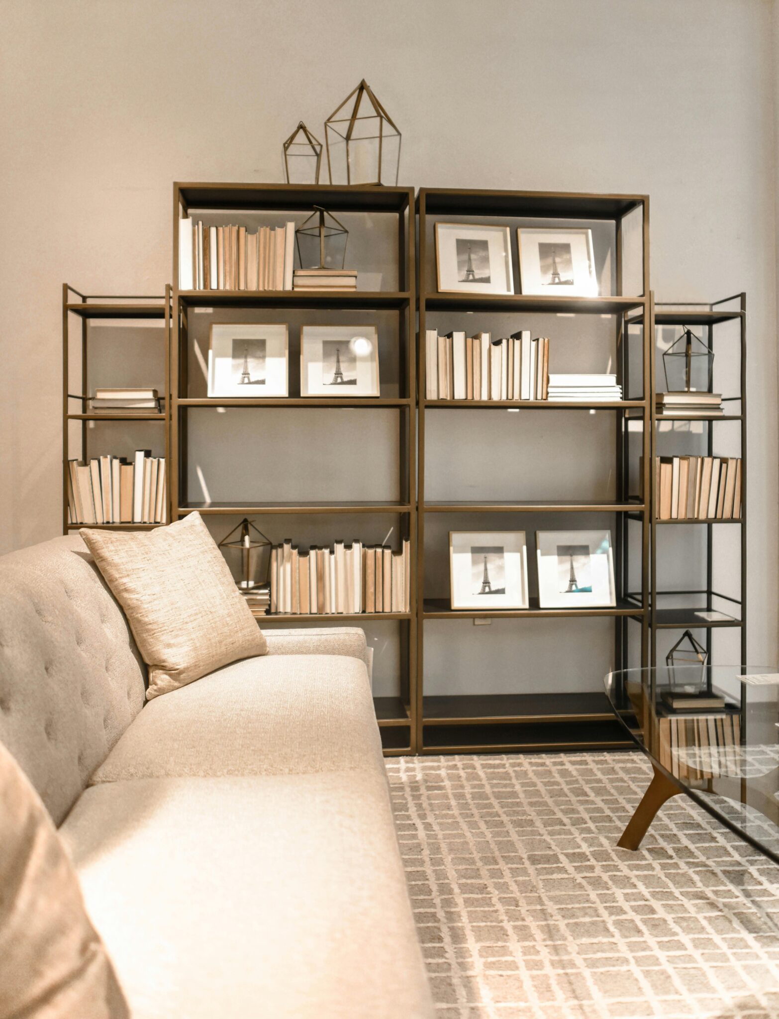 6 Types Of Bookcases: Which Suits You Best? - Glory of the Snow