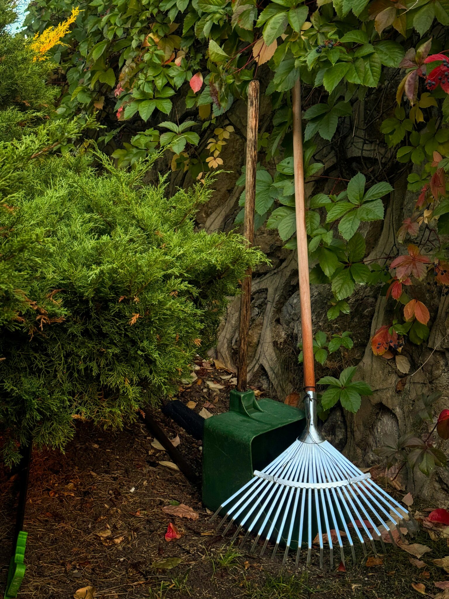 How To Stop Leaves Causing Havoc Around Your Home - Glory of the Snow