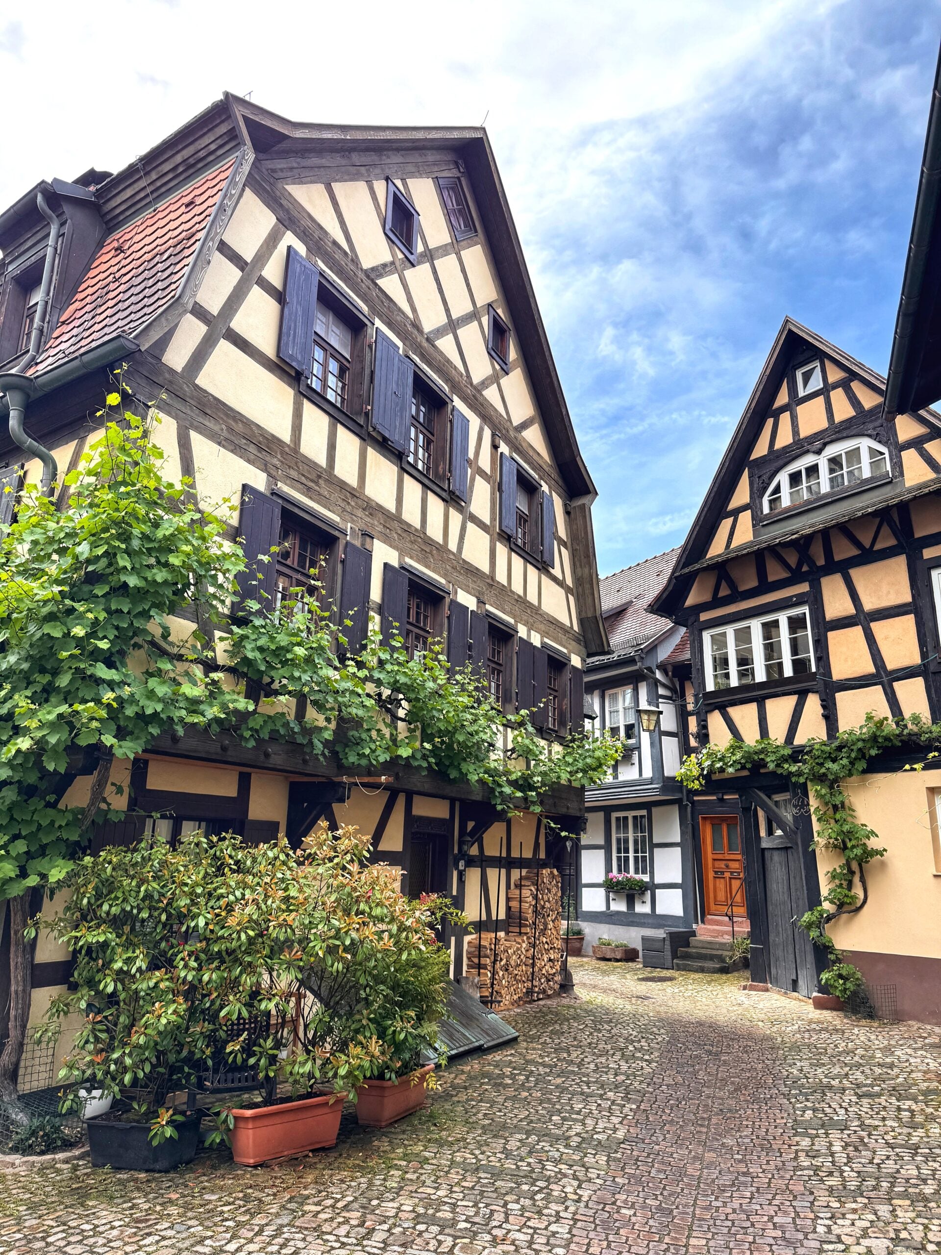 Top 3 Best Places To Visit In Black Forest Germany For Your Ultimate ...